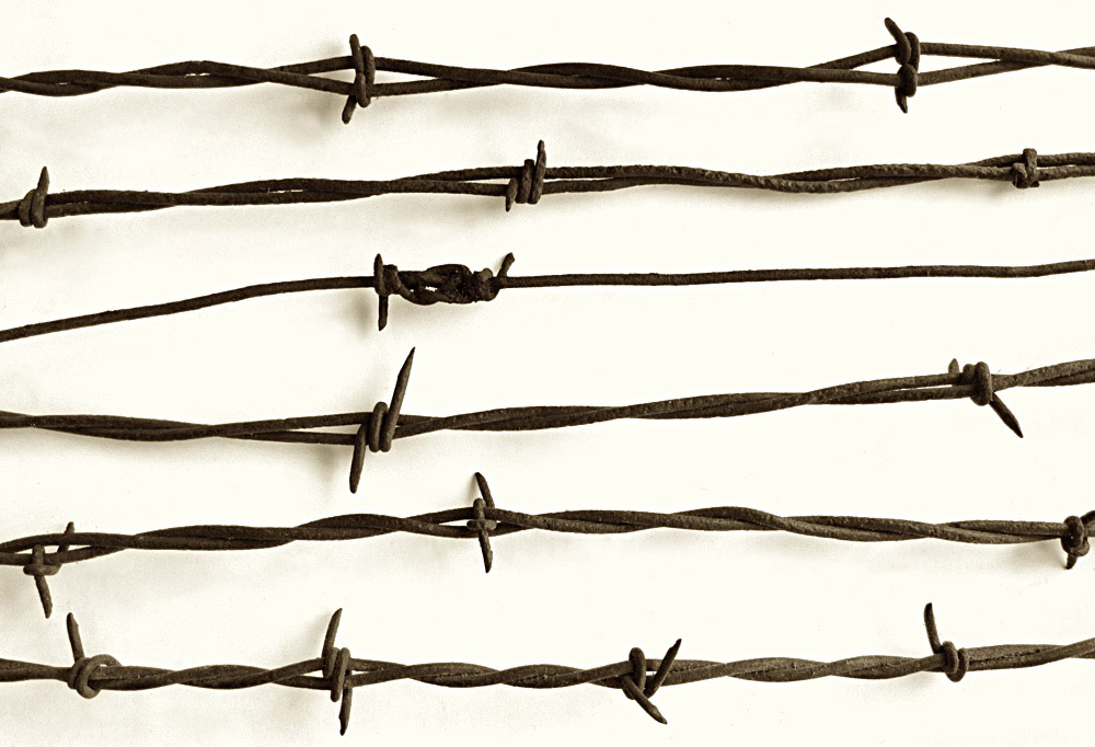 Barbed Wire – Almost Heroes