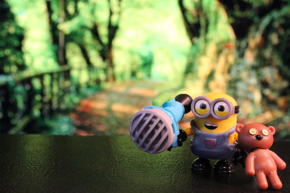 Almost Heroes – Stories to record. To entertain. Maybe even to teach.